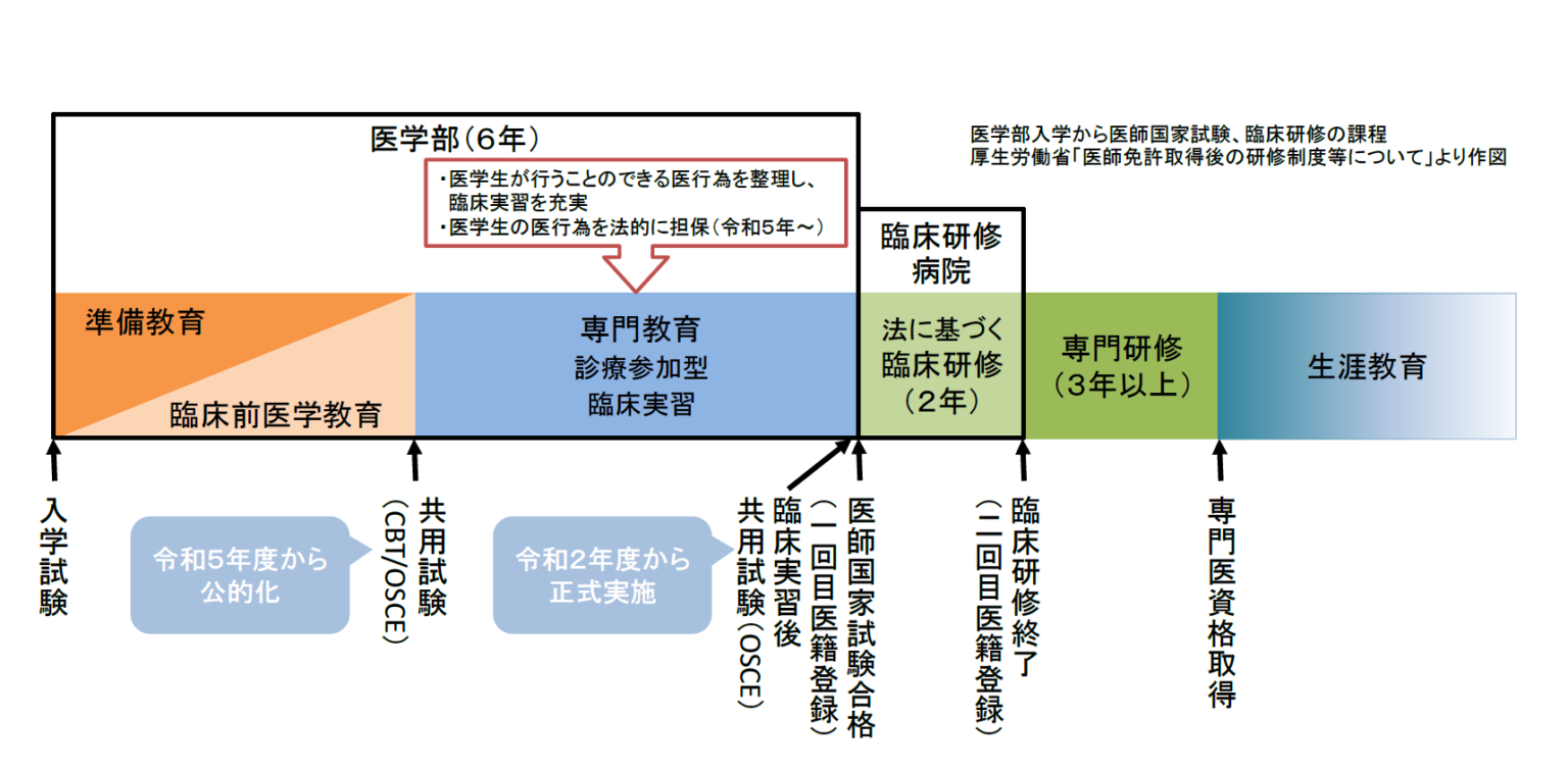 What are the requirements to become a doctor? | MEDIUS Holdings Co., Ltd.